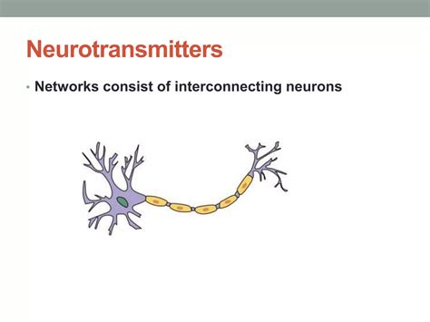 Adhd Brain Development And Function Space Stockport 19 10 2018 Ppt