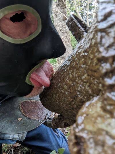 Post 745866363044806656 Manure Tumbex