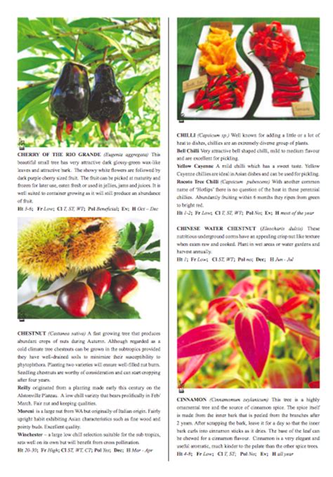 Free Fruit Tree Catalogue Email List Customer Card