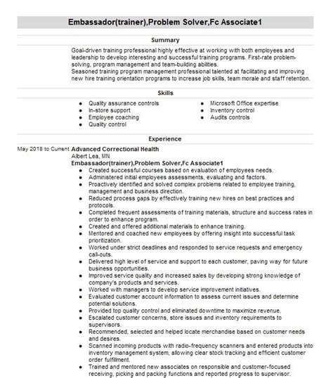 Problem Solver Auditor Resume Example