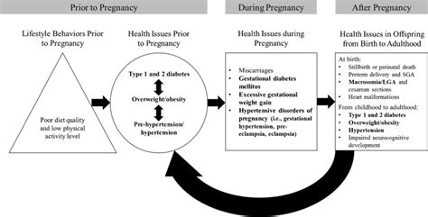 Hypothesized Intergenerational Transmission Of Health Issues Among