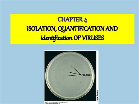 Chapter 4 Isolation Quantification And Identification Of Viruses