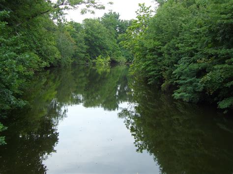 The Great Lakes Of Nyc Hackensack River