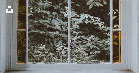 흰색 프레임이 있는 투명 유리창 사진 Unsplash의 무료 사우스 하팅 이미지