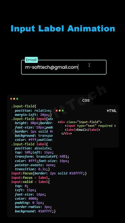 Css Only Input Field With Floating Text Animation Floating Label