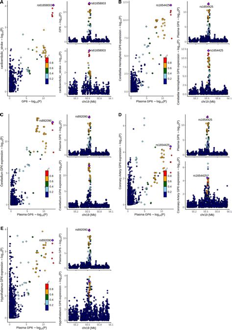 Mendelian Randomization And Bayesian Colocalization Analysis Implicate