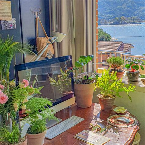 창밖 풍경을 닮고 싶어서 초록을 담은 플렌테리어 🌿 라이프스타일 슈퍼앱 오늘의집