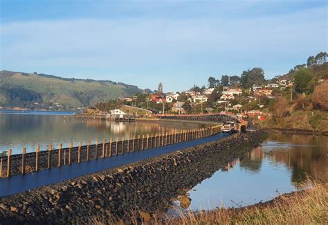 New Name For Dunedin Port To Port Path Inside Government Nz