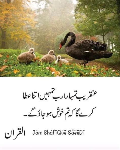 Syed Shaheer Akhter Posted On Linkedin