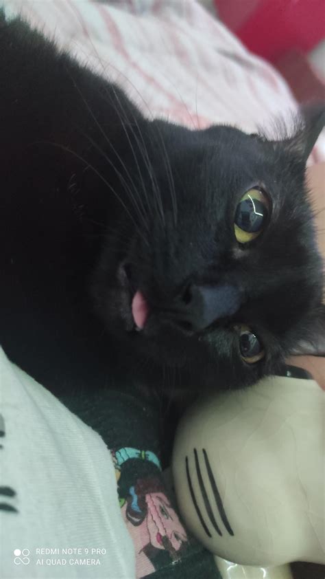 Monalisa Blep R Blep