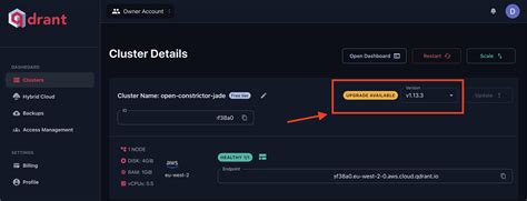 Qdrant 114 Reranking Support And Extensive Resource Optimizations Qdrant