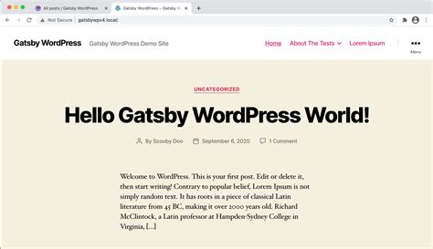 Using New Gatsby Source Wordpress Plugin Css Tricks Css Tricks