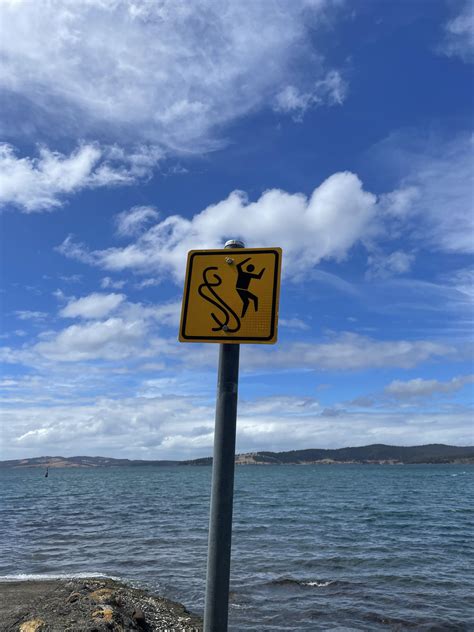 Warning Is Unclear Oc Rpics