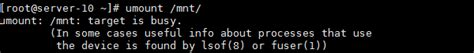 linux挂载卸载不掉 umount target is busy umount强制卸载 target is busy csdn博客