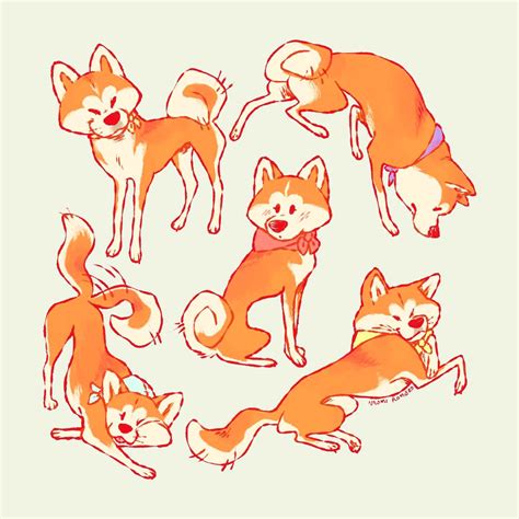 Сиба ину для срисовки 45 фото картинки Sobakovod Club