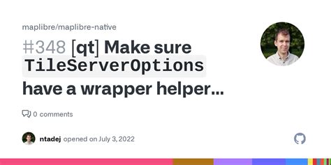 Qt Make Sure TileServerOptions Have A Wrapper Helper Class Issue Maplibre Maplibre