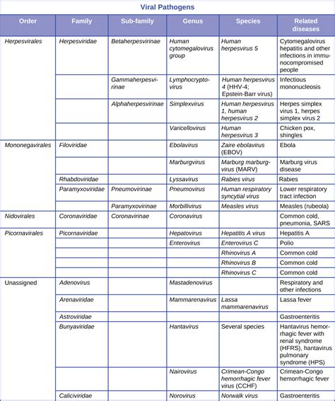 Viral Pathogens Taxonomy Of Clinically Relevant By Openstax Page 23