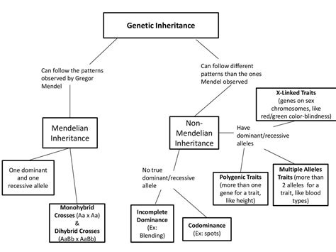 Mendelian Inheritance Non Mendelian Inheritance Ppt Download