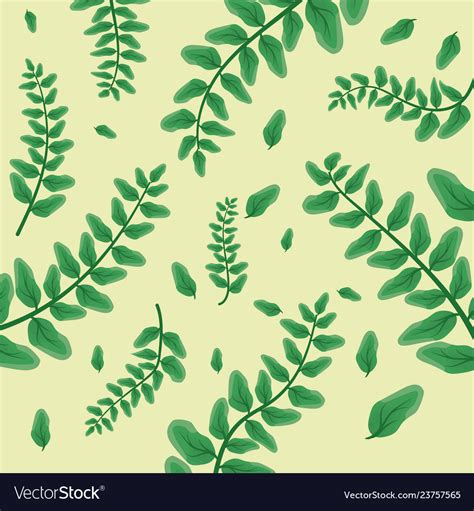 Foliage Nature Leaves Royalty Free Vector Image