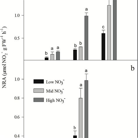 Nitrate Reductase Activity Nra In Leaf Tissue Of Brachiaria Download Scientific Diagram