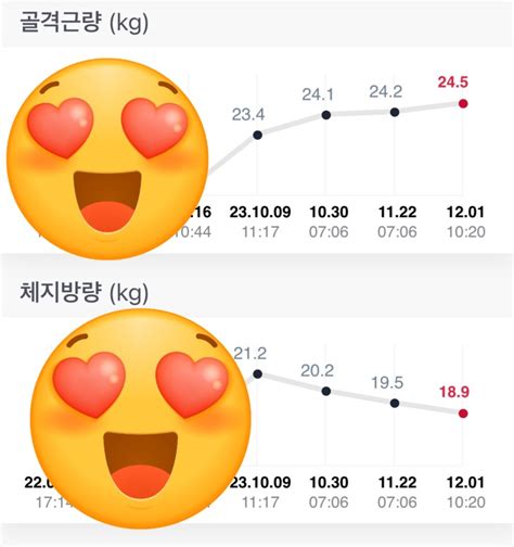 대전 탄방동 피티 회원님 비포에프터 건강한다이어트 운동홀로서기 Tip 네이버 블로그
