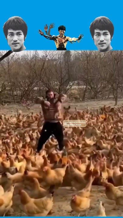 ქათმების ფერმა Youtube