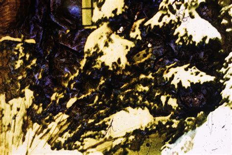 Color Bleach Etching Part II Process Reversal