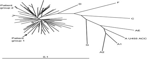 clade b hiv 1 superinfection with wild type virus after prim aids