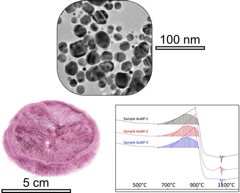 Melting Point Of Dried Gold Nanoparticles Prepared With Ultrasonic