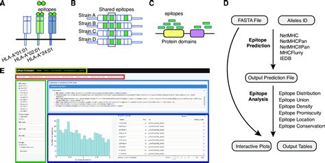 Epitope Evaluator A Shinyr Based Web Tool For Interactively Analysing