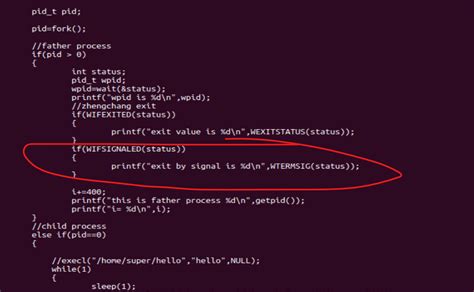linux学习七——进程回收 使用waitpid回收进程资源 csdn博客