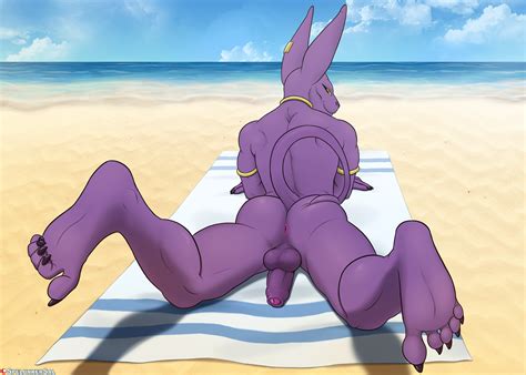 Post Beerus Dragon Ball Series Spelunker Sal