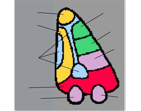 Thalamic Nuclei Input Output Quiz