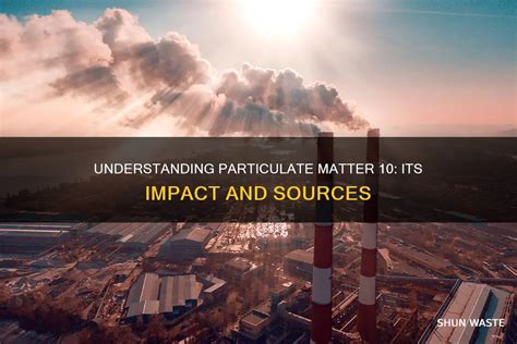 Understanding Particulate Matter Its Impact And Sources ShunWaste