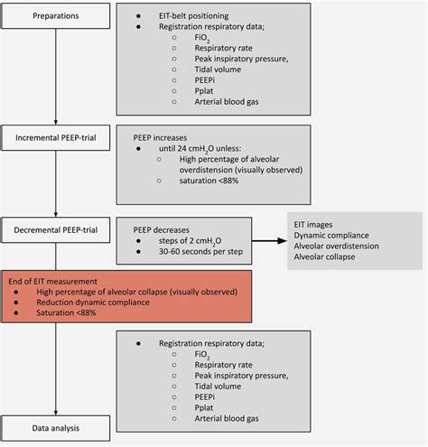 Schematic Overview Of Electric Impedance Tomography Eit Measurements Download Scientific