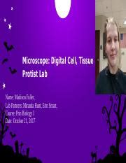 BSC Microscope Digital Cell Tissue Protist Lab Pptx Microscope Digital Cell Tissue