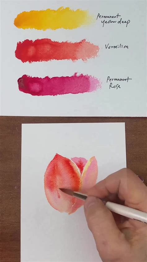 책 에 자세한 설명이 나와있지만 이 튤립은 색깔을 합해서 칠하지 않고 3가지 색을 각각 칠하여 서로 자연스럽게 어우러지도록 채색하는 방법입니다 책에 있는 것처럼 밑그림을