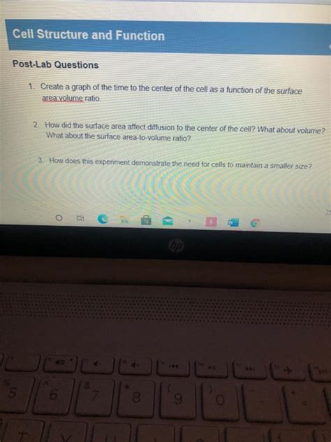 Solved New W Exploring Cell Size In This Exercise You Will