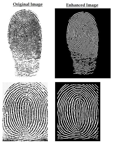 Fingerprint Enhancer Pypi