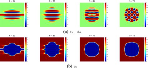 Microphase And Macrophase Separation At Download Scientific Diagram