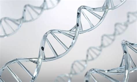 一文读懂胶原蛋白研究史 知乎