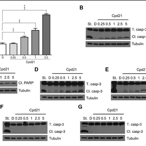 Pathology Cryptitis And Crypt Abscess Download Scientific Diagram