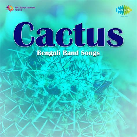 Halud Pakhi Youtube Music