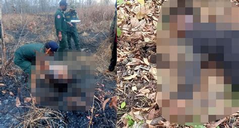 ឃាតកម្មសម្លាប់ មនុស្សមួយគ្រួសារ នៅខេត្តមណ្ឌលគិរី ត្រូវកម្លាំងនគរបាល បង្ក្រាបបានជនដៃដល់ ៦នាក់