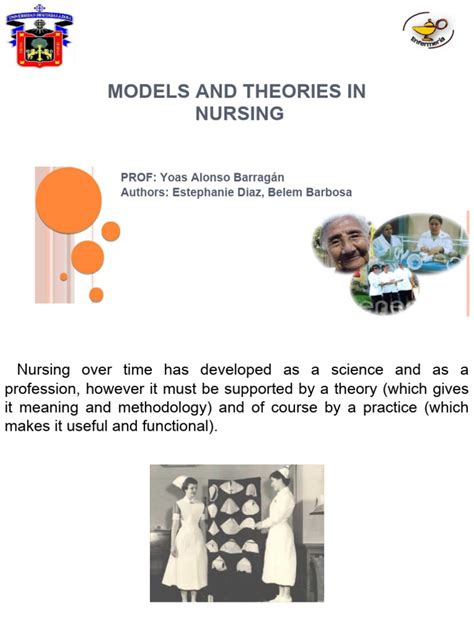 Models And Theories In Nursing Pdf Theory Nursing