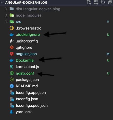 Deploy Angular Application With NGINX And Docker DEV Community
