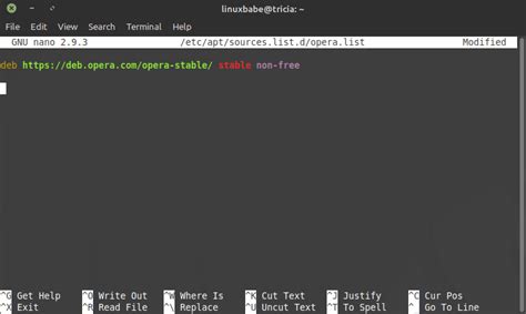 Install Opera On Debianubuntulinux Mint And Enjoy Free Unlimited Vpn