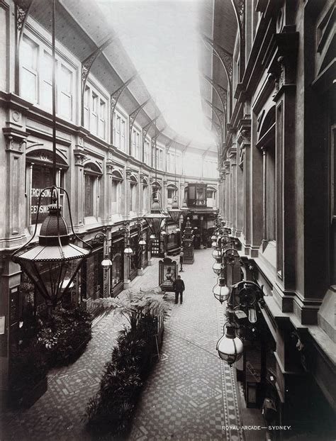 Mckenzie Violet The Dictionary Of Sydney