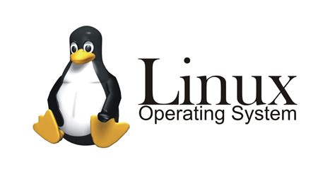 Изменение прав доступа в Linux как это сделать при помощи команды Chmod
