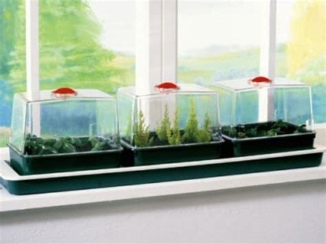 Trio Top Electric Windowsill Propagator Access Garden Products Trio Top Electric Windowsill Propagator Access Garden Products